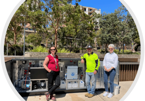 ColiMinder: online real-time bacterial water quality monitoring system